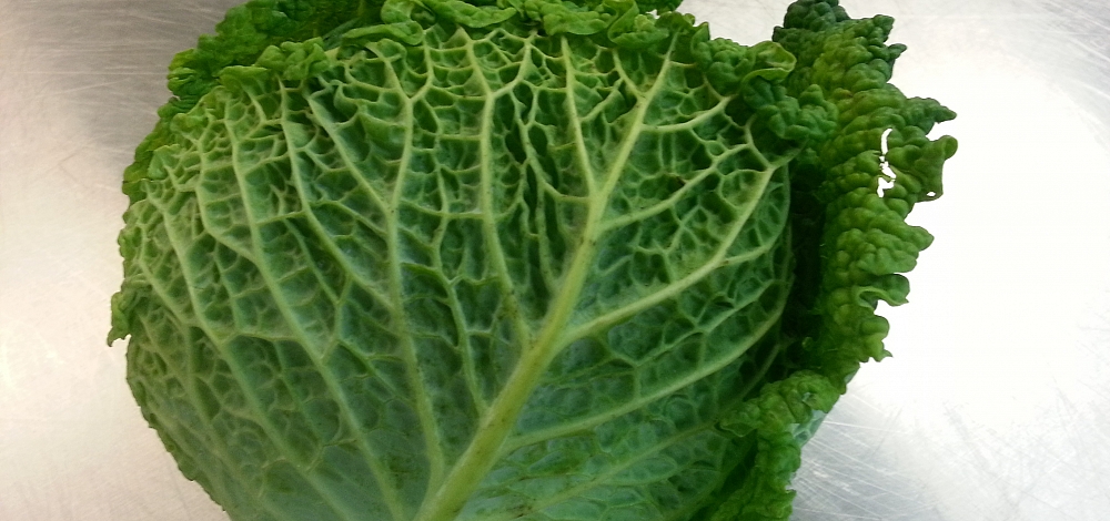 Moor Market Homepage | Sheffield Markets